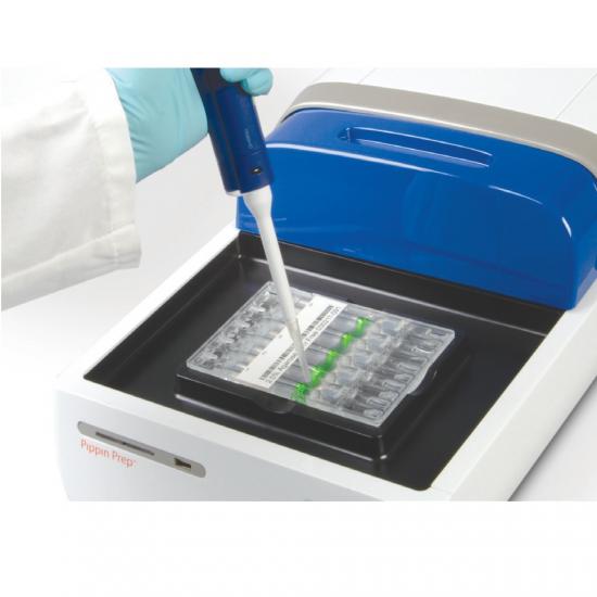 秋田大学分子医学部門